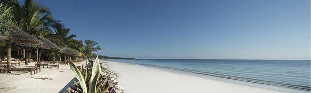 Uroa-Bay-Beach-Resort-banner-02 | Dream World Adventures